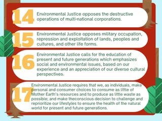Environmental Justice and Inequality.pdf