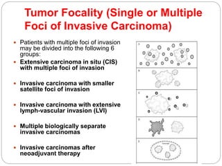 Pathologic Reporting of breast specimens | PPT