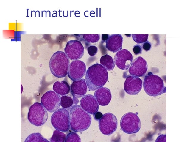 Reporting of Peripheral smear.pptx on ppt | PPT