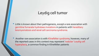 Recent updates and reporting of testicular tumors Dr.Argha Baruah | PPTX