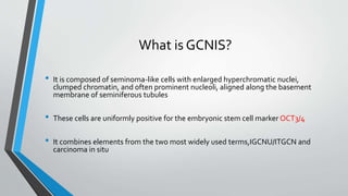 Recent updates and reporting of testicular tumors Dr.Argha Baruah | PPTX