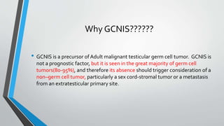 Recent updates and reporting of testicular tumors Dr.Argha Baruah | PPTX