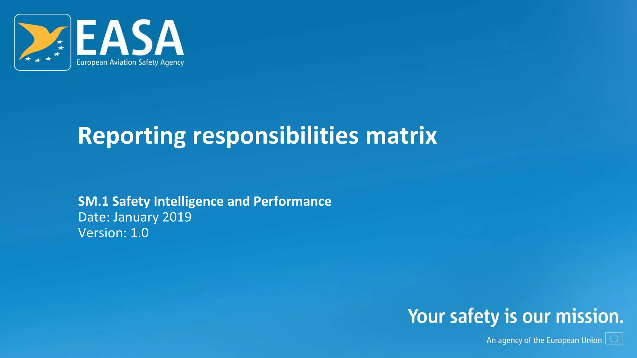 Reporting_responsibilities_matrix.pptx