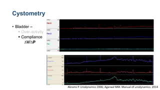 REPORTING URODYNAMIC STUDY | PPTX