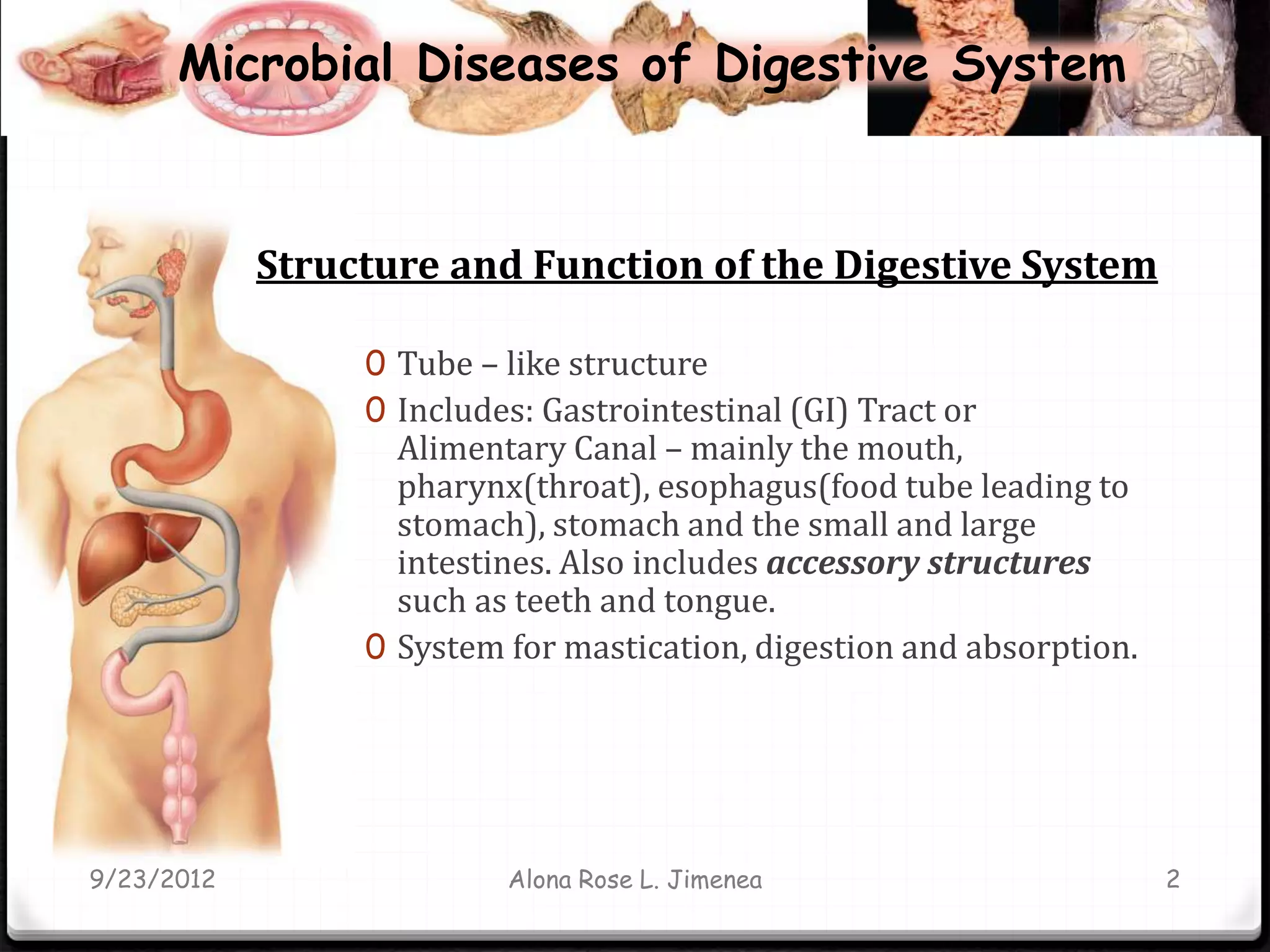 microbiology | PPTX | Digestive Disorders | Diseases and Conditions
