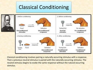 Behaviorism in philosophy of education | PPTX