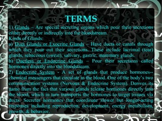Endocrine System | PPT