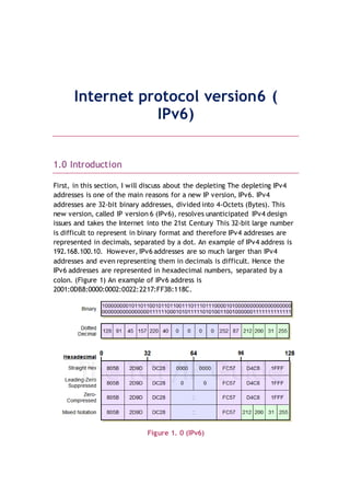 Report IPv6 | PDF
