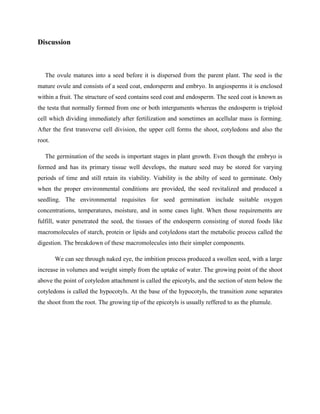 Seed Germination | DOCX