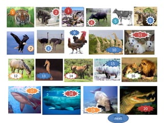 Report listening speaking | PPT