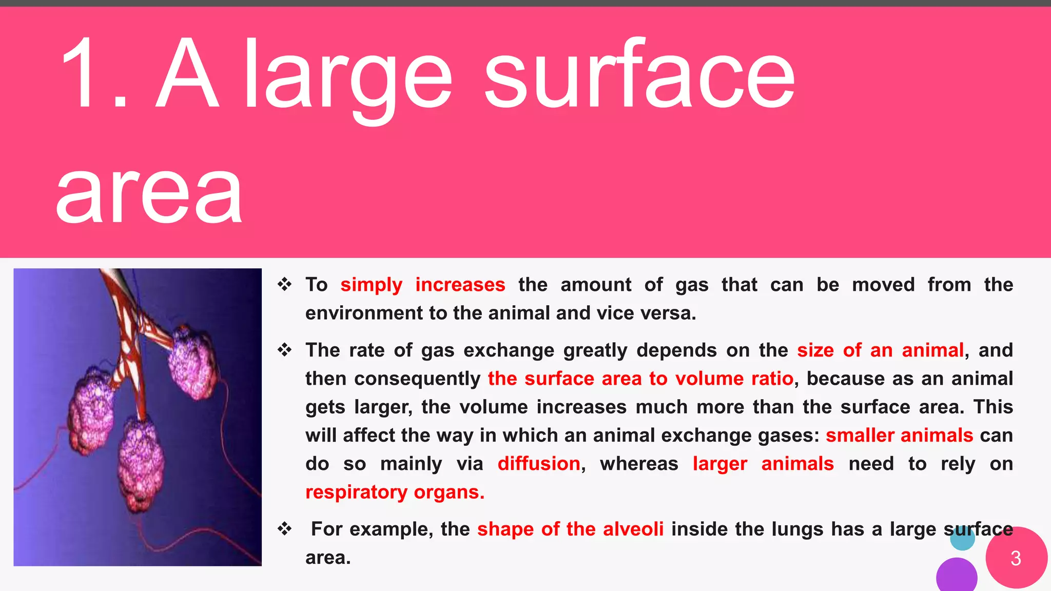 Gas Exchange | PPT