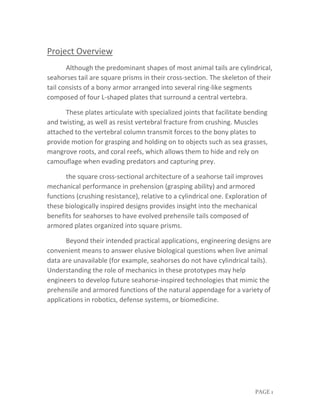 Report mechnificent | PDF