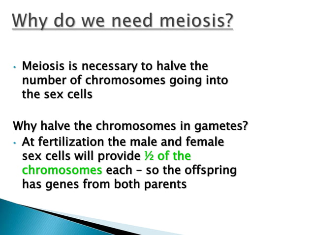 Meiosis | PPTX | Infertility | Reproductive Health