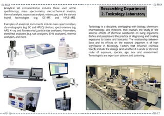 Graduation Report | PDF