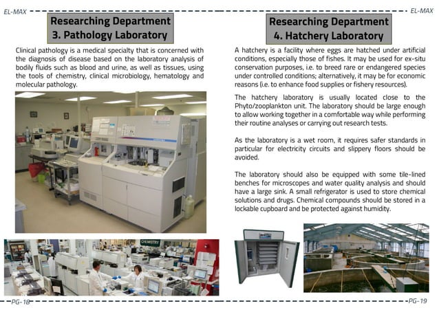 Graduation Report | PDF