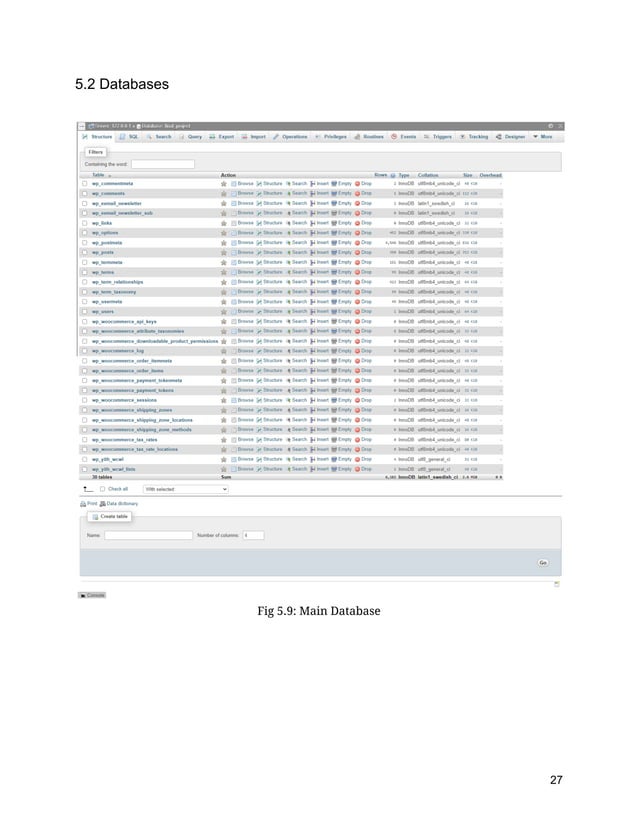 Report of e commerce website | PDF