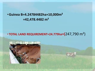 REPORT OF PASTURE ESTABLISHMENT.pptx