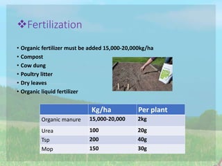 REPORT OF PASTURE ESTABLISHMENT.pptx