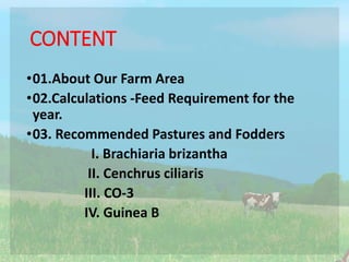 REPORT OF PASTURE ESTABLISHMENT.pptx