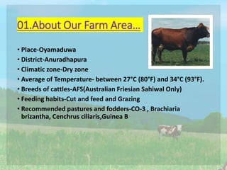 REPORT OF PASTURE ESTABLISHMENT.pptx