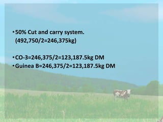 REPORT OF PASTURE ESTABLISHMENT.pptx