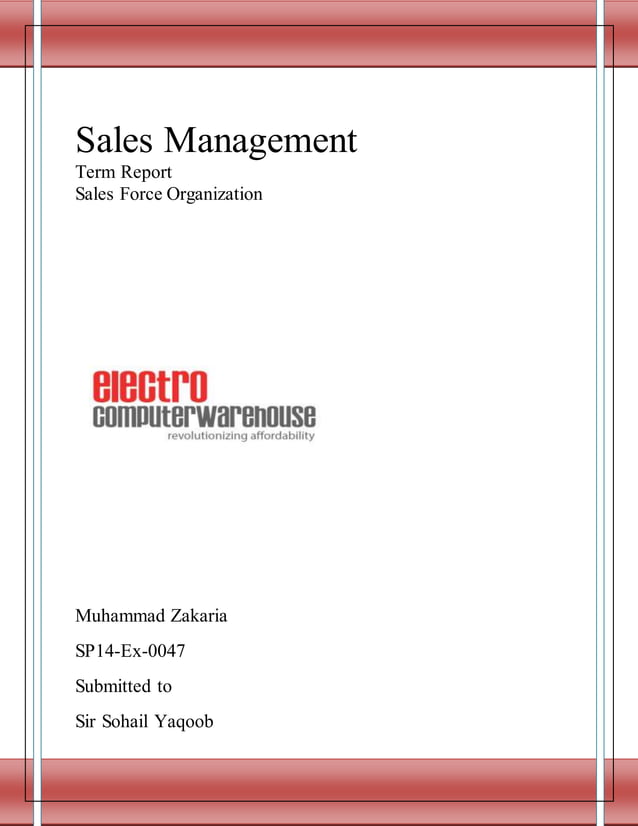 Sales Force Structure | DOCX