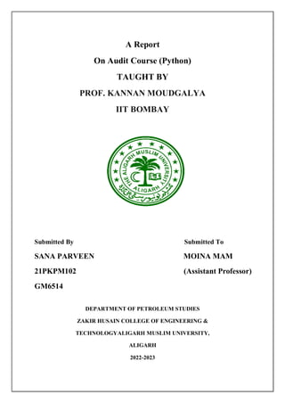 REPORT ON AUDIT COURSE PYTHON BY SANA 2.pdf
