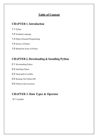 REPORT ON AUDIT COURSE PYTHON BY SANA 2.pdf