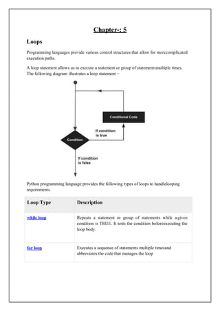 REPORT ON AUDIT COURSE PYTHON BY SANA 2.pdf