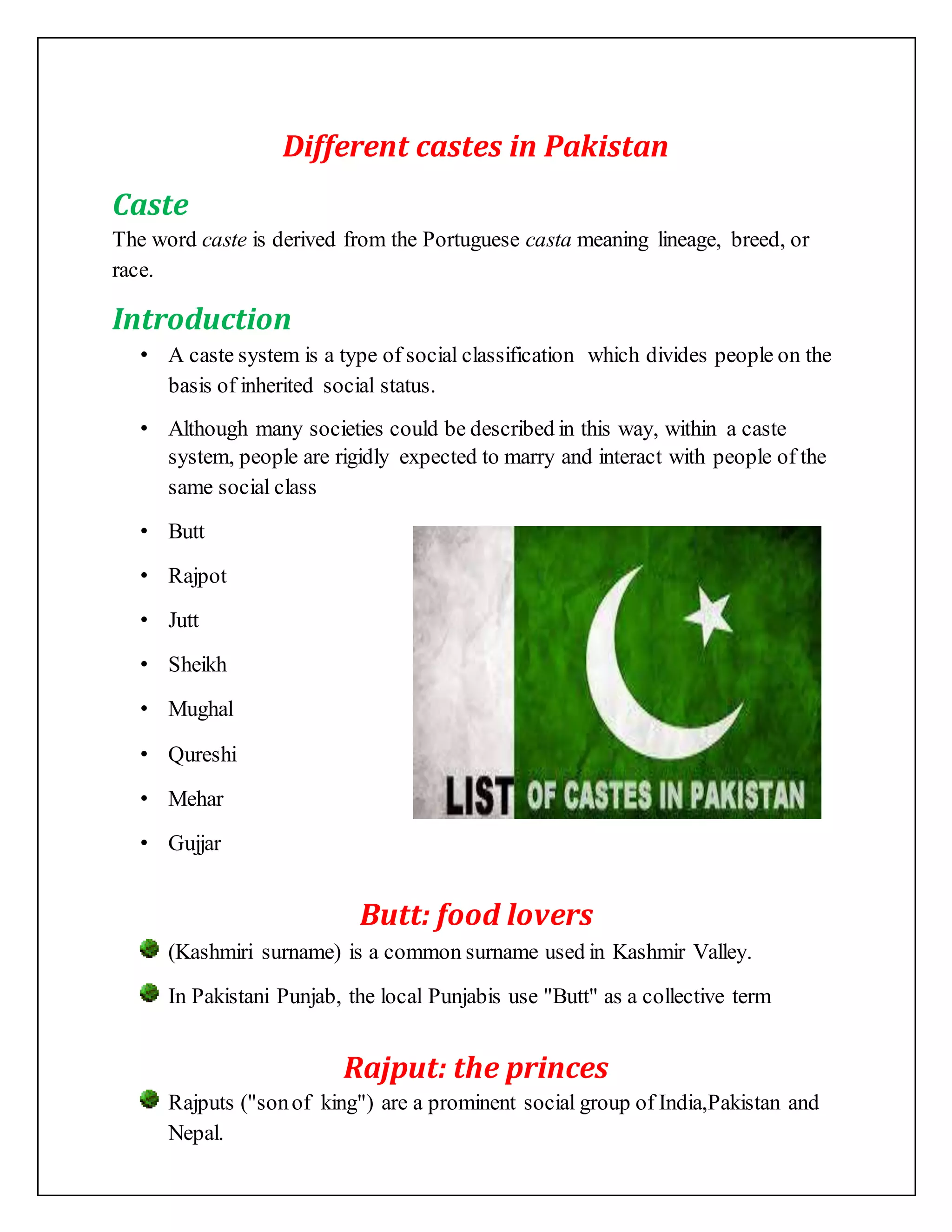 Report on diiferent castes in pakistan | DOCX