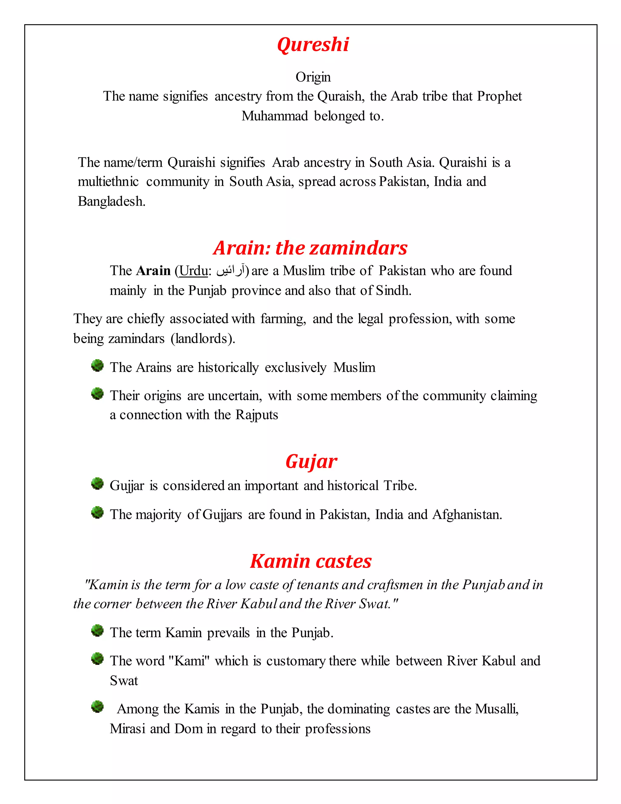 Report on diiferent castes in pakistan | DOCX