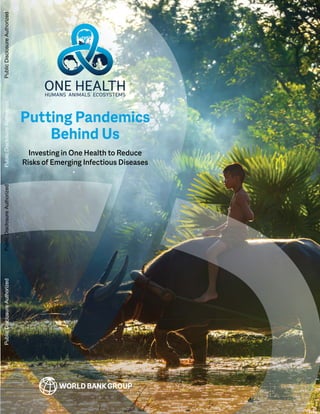 Report One Health.pdf