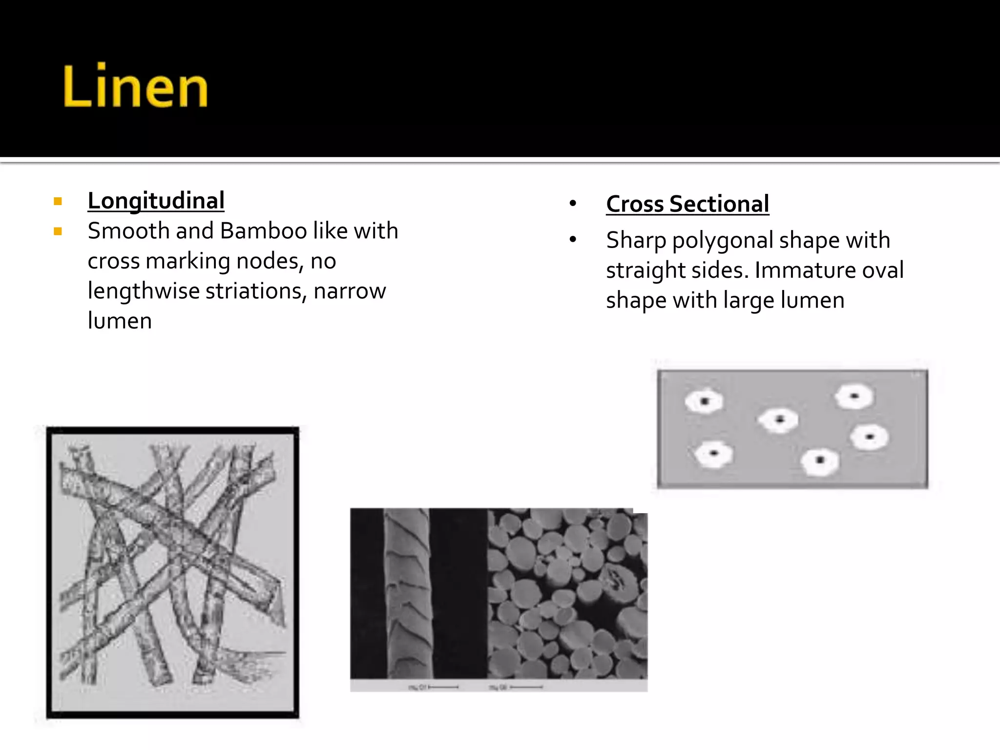 Report on fibers | PPTX