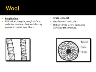 Report on fibers | PPTX