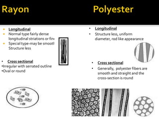 Report on fibers | PPTX