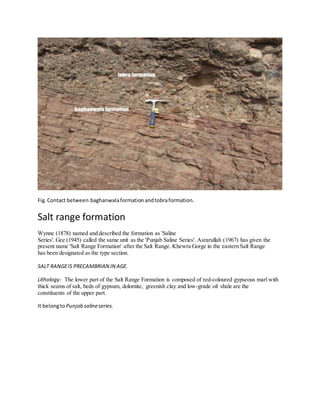 Report on field work to salt range by tariq aziz | PDF