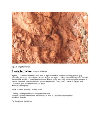 Report on field work to salt range by tariq aziz | PDF