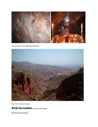 Report on field work to salt range by tariq aziz | PDF