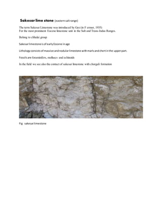 Report on field work to salt range by tariq aziz | PDF