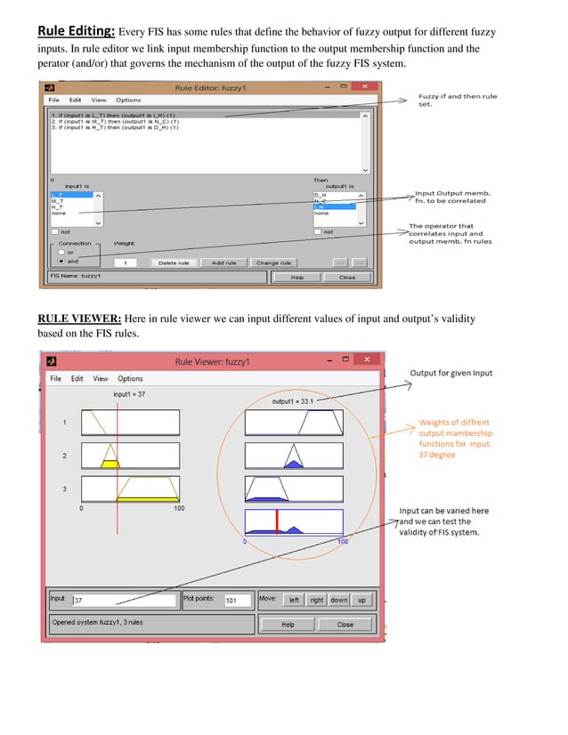 Report on fuzzy | PDF | Programming Languages | Computing