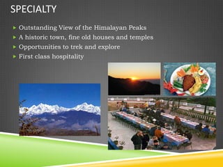 Report on hotel himalayan horizon | PPTX