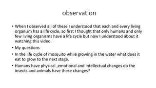 Report on life cycles | PPT