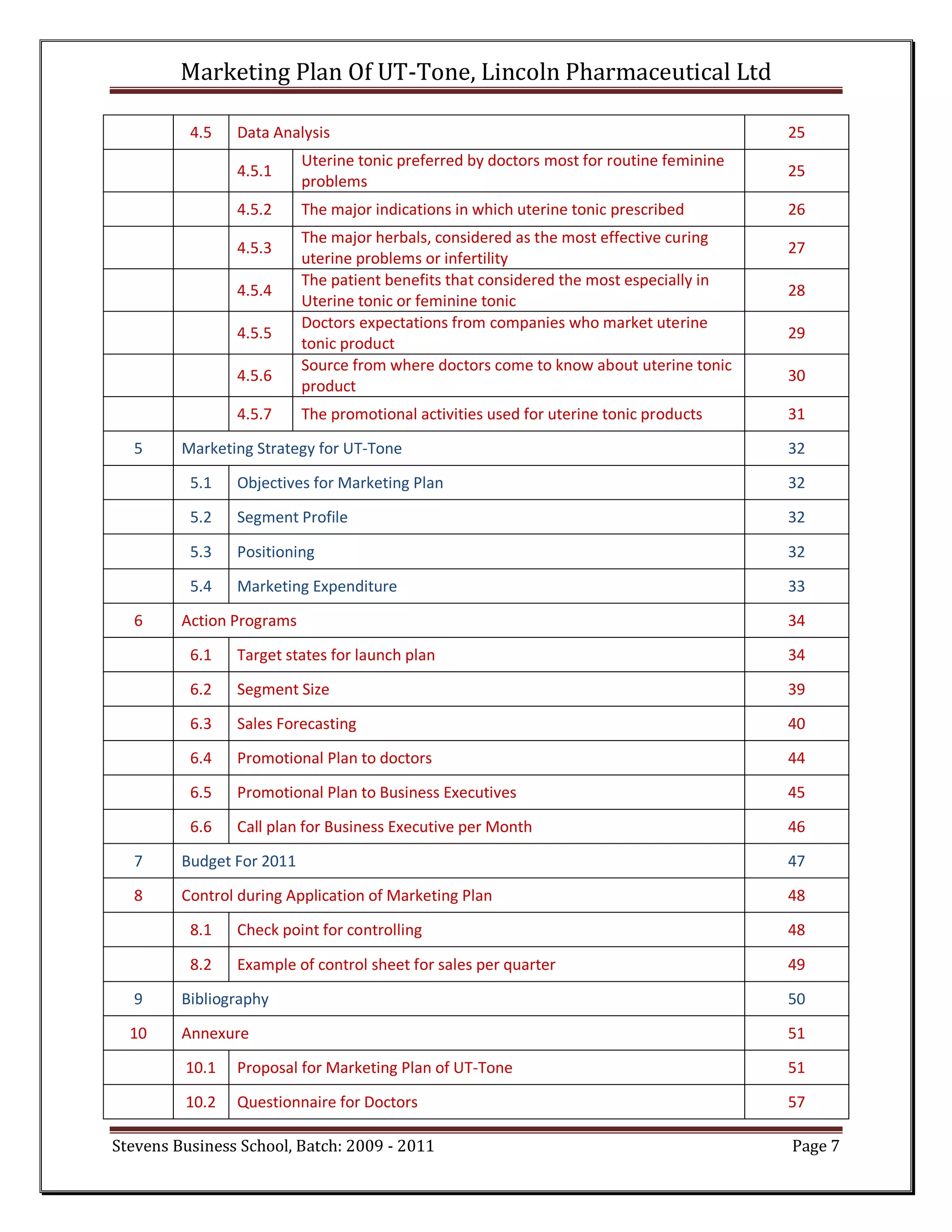 Report On Marketing Plan Of Ut Tone | PDF