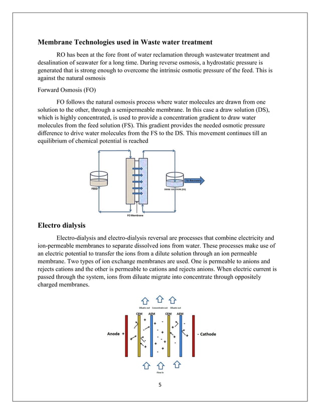 Membrane technology | PDF