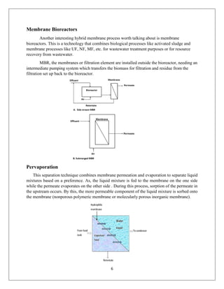 Membrane technology | PDF