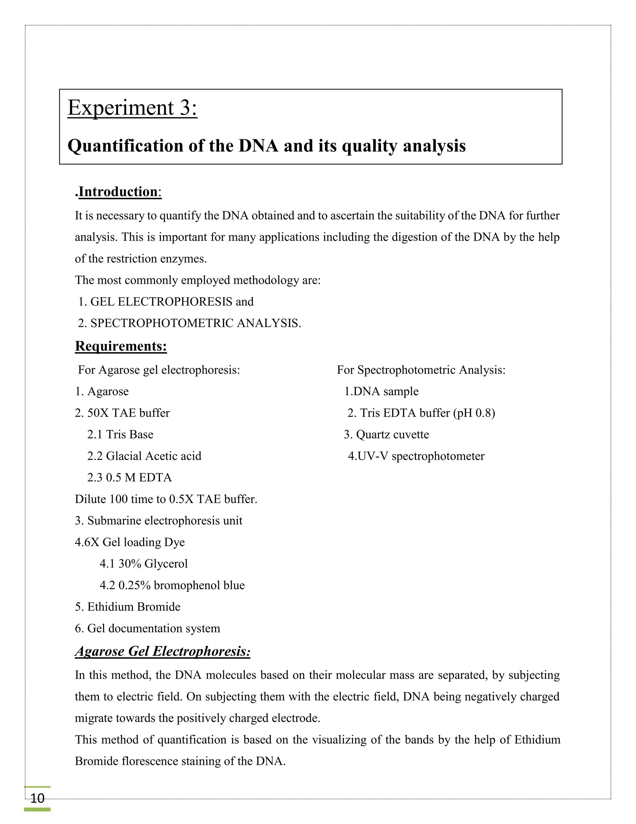 Report on molecular biology techniques | PDF
