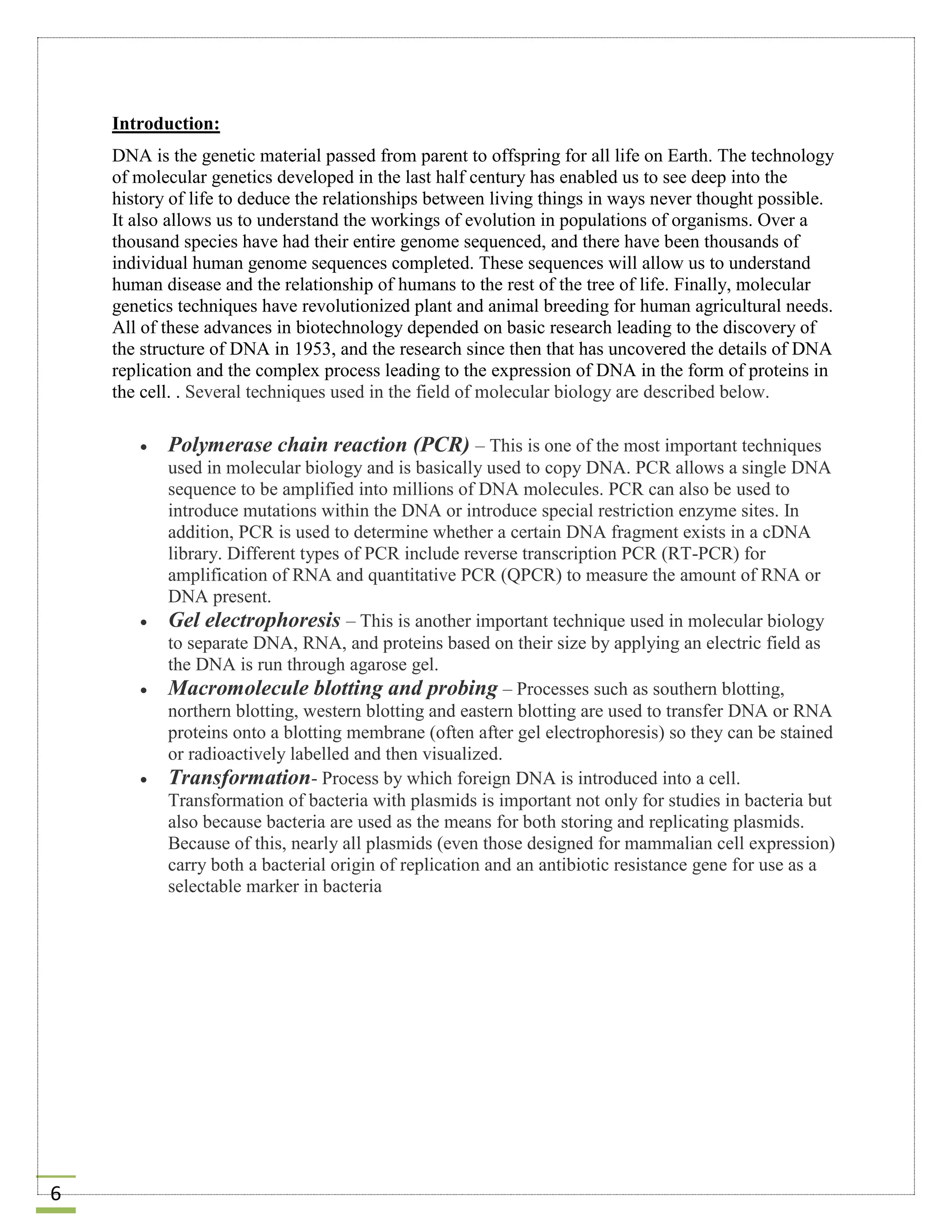 Report on molecular biology techniques | PDF