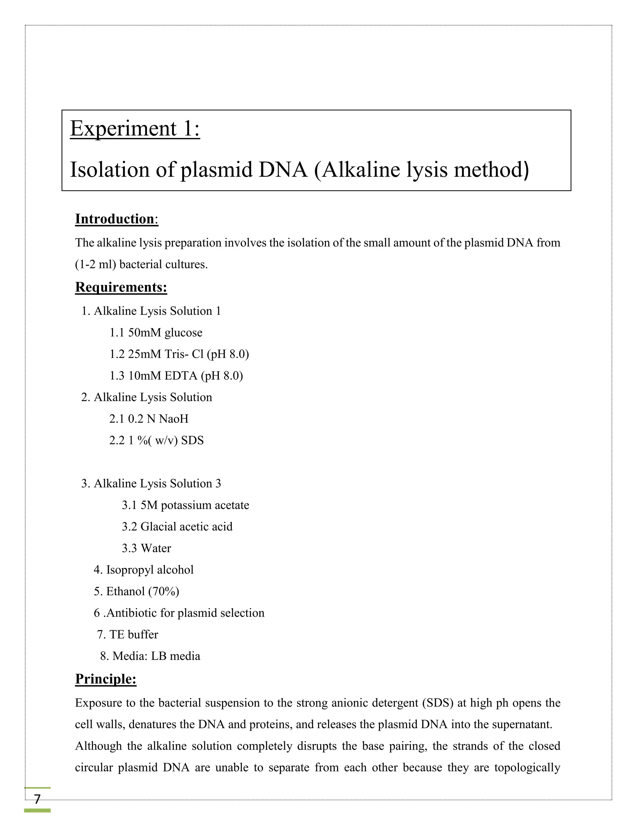 Report on molecular biology techniques | PDF