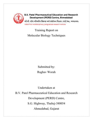Report on molecular biology techniques | PDF | Biological Sciences ...