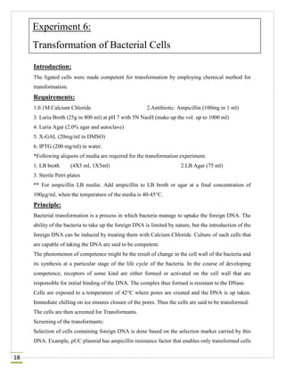 Report on molecular biology techniques | PDF | Biological Sciences ...